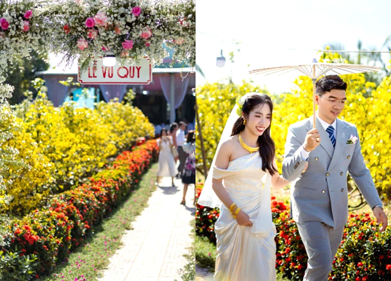 Video: Mừng con gái lấy chồng, ông bố Cần Thơ cho cả vườn mai nở sớm ...
