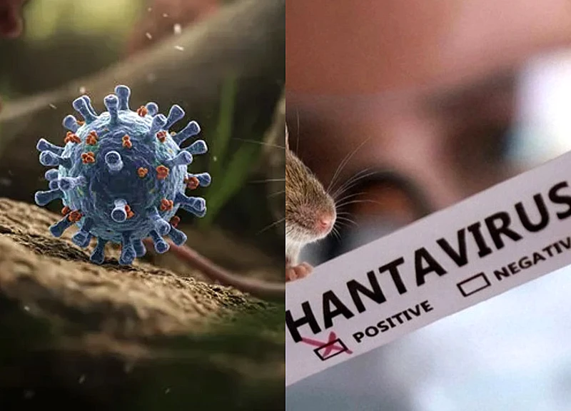 Argentina đặt những chiếc bẫy đầu tiên nhằm tóm vật chủ mang virus ...