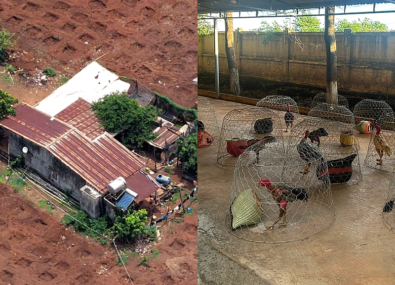 Cảnh sát đột kích căn nhà, bắt quả tang 31 người đang đá gà - Pháp luật ...