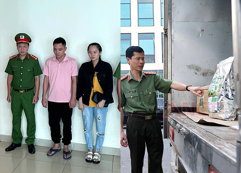 Vợ chồng chủ Công ty Ba Con Sư Tử bị khởi tố - Pháp luật - Việt Giải Trí